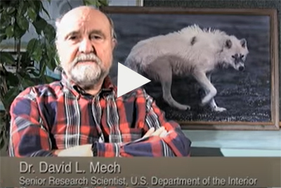 Wissenschaft entwickelt sich weiter | TeamSchule für Mensch und Hund